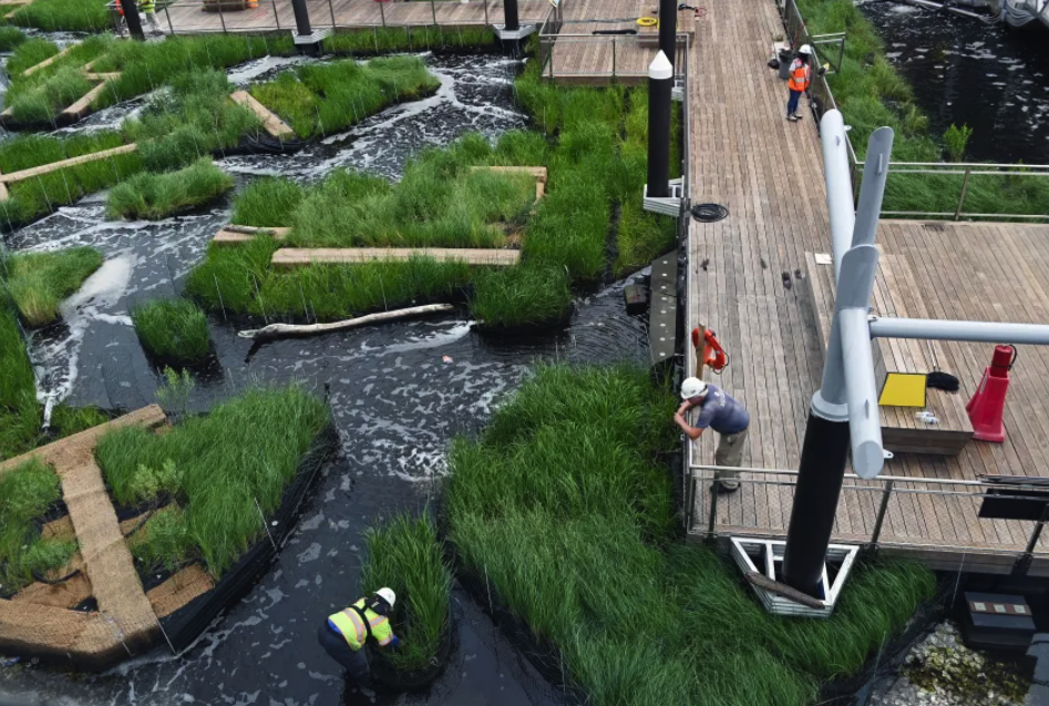 National Aquarium’s ambitious wetland exhibit a gift to Baltimore ...